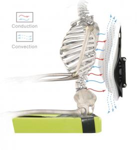 Invacare MatrX Elite E2 back series (NEW) - Invacare UK